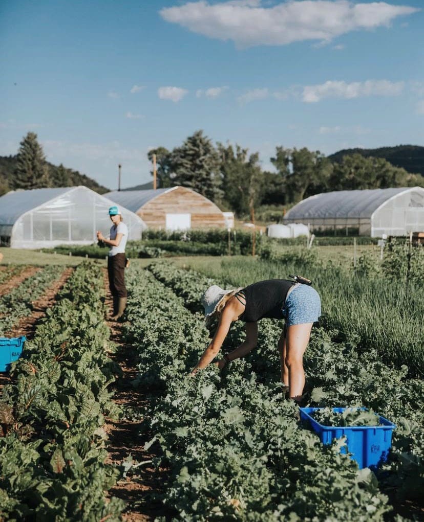 Farm to Institution - Rocky Mountain Farmers Union