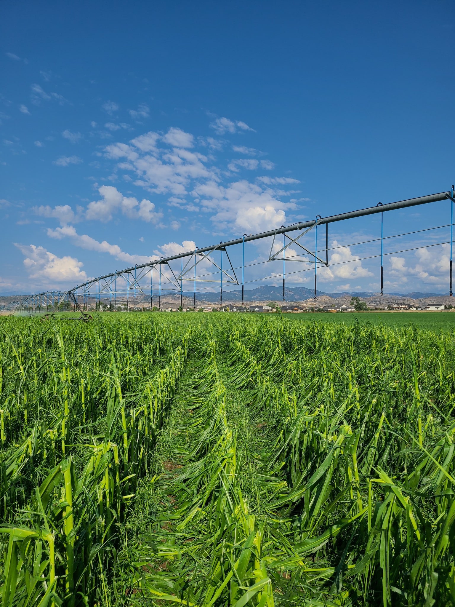 Ag-Assist - Rocky Mountain Farmers Union